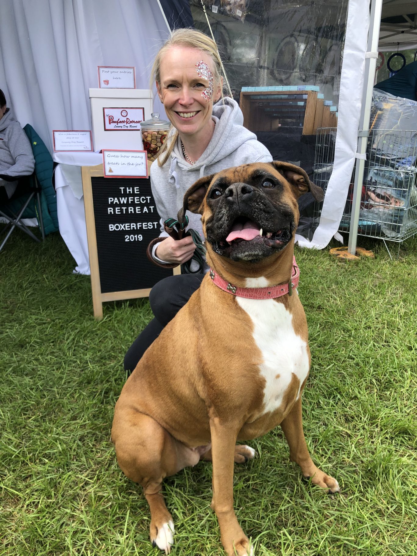 Dog Events & Shows | The Pawfect Retreat On Walkies