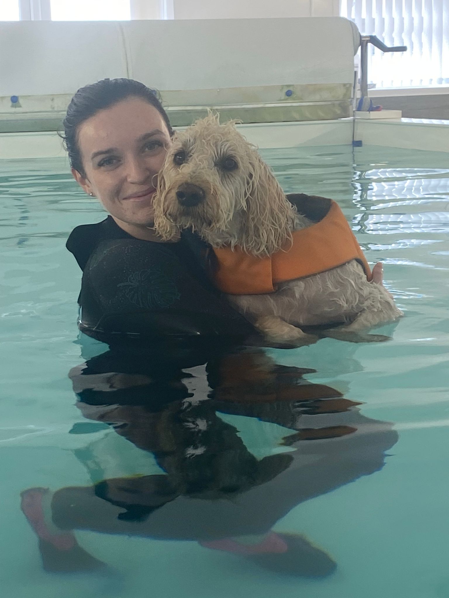 Canine Hydrotherapy Near Liverpool | Pawfect Retreat | Luxury Resort